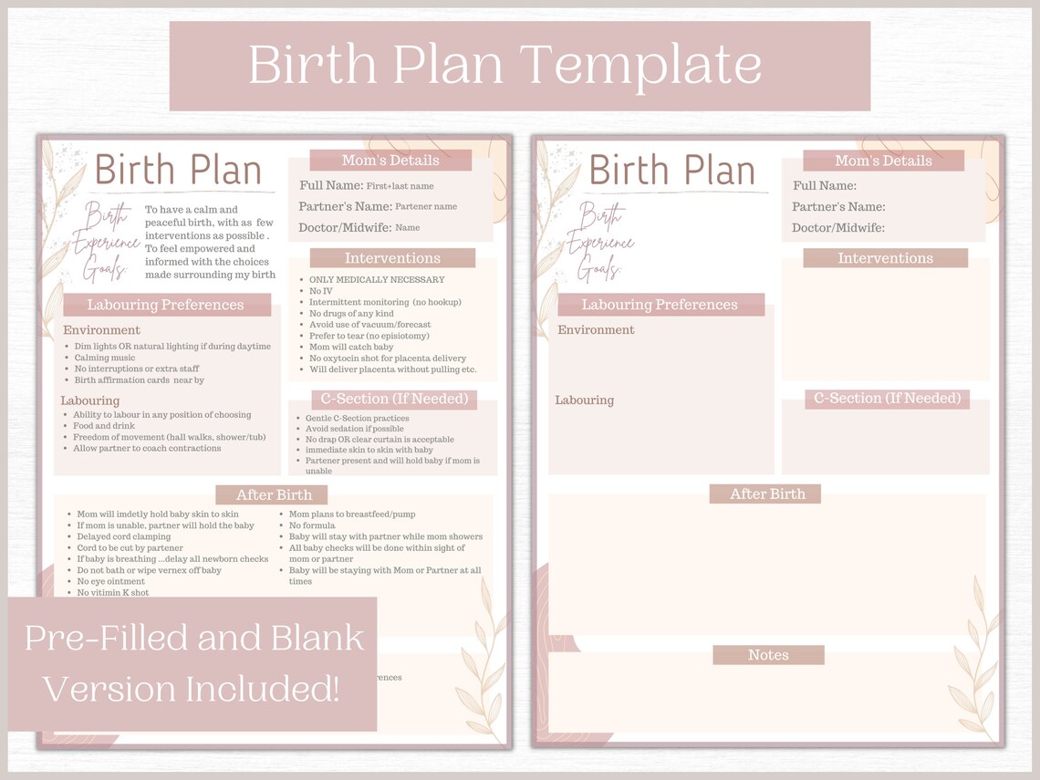 Mini Birth Plan Bundle Editable Birth Plan Hospital Bag - Etsy
