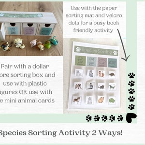 Pet Themed Unit Study Bundle | Vet Clinic Dramatic Play Printables ...