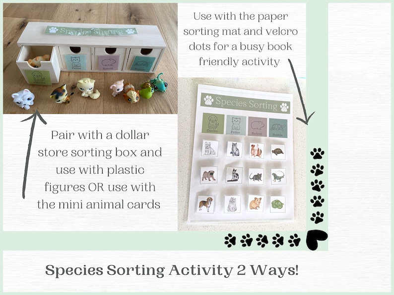 Pet Themed Unit Study Bundle | Vet Clinic Dramatic Play Printables ...