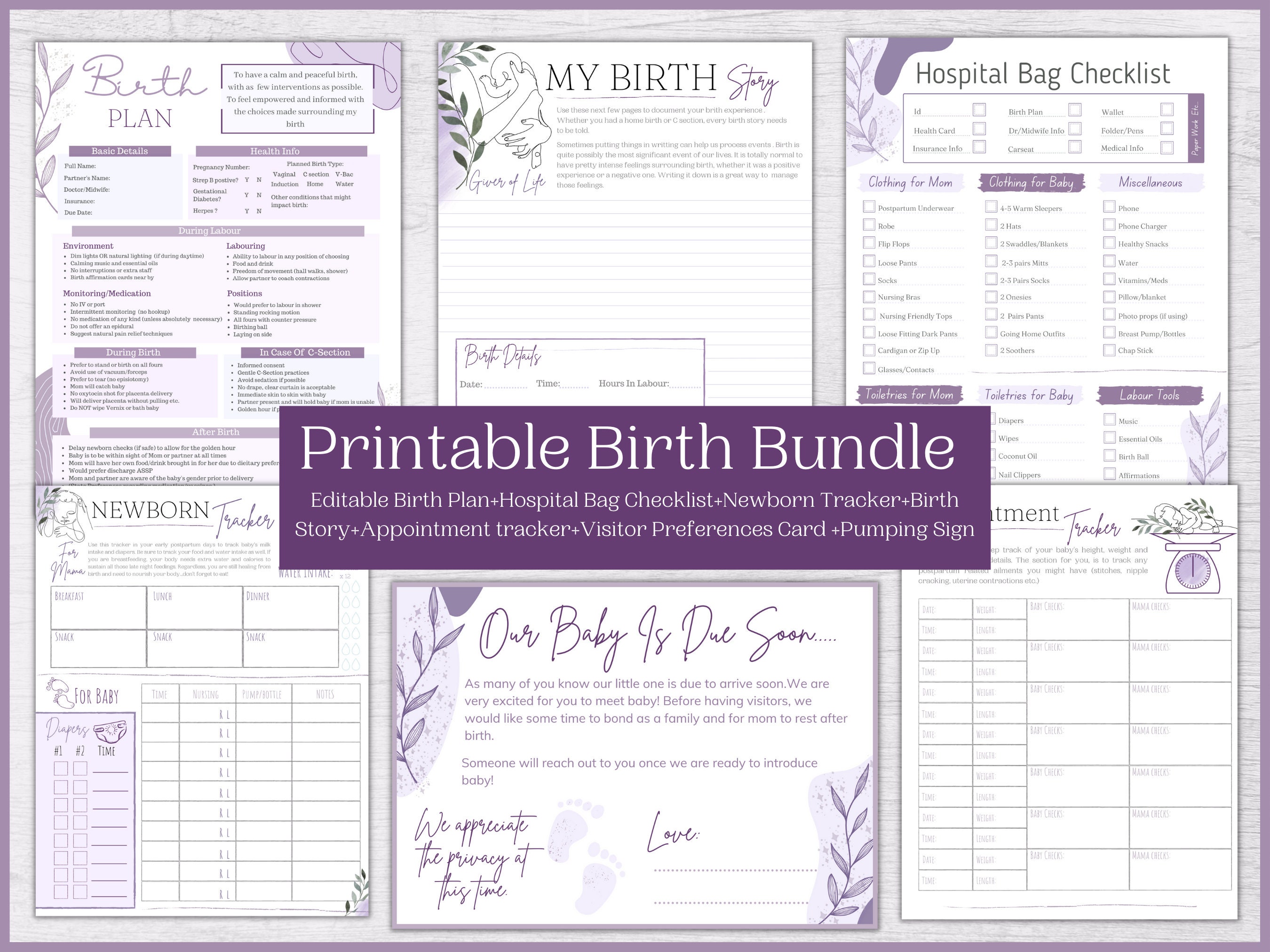 Mini Birth Plan Bundle Editable Birth Plan Hospital Bag Checklist ...