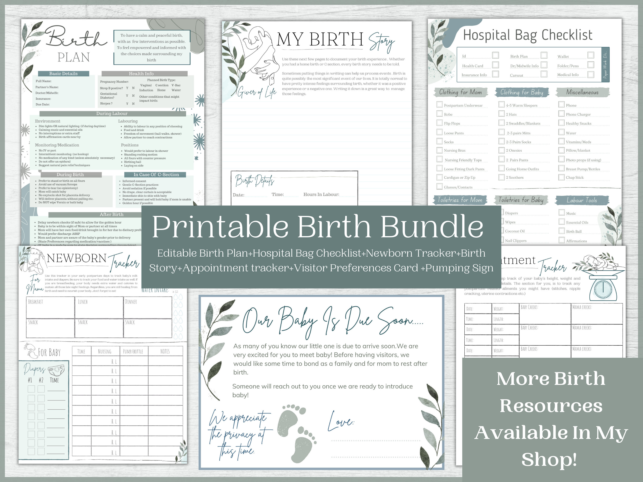 Editable Birth Plan Template and Hospital Bag Checklist Bundle - Etsy