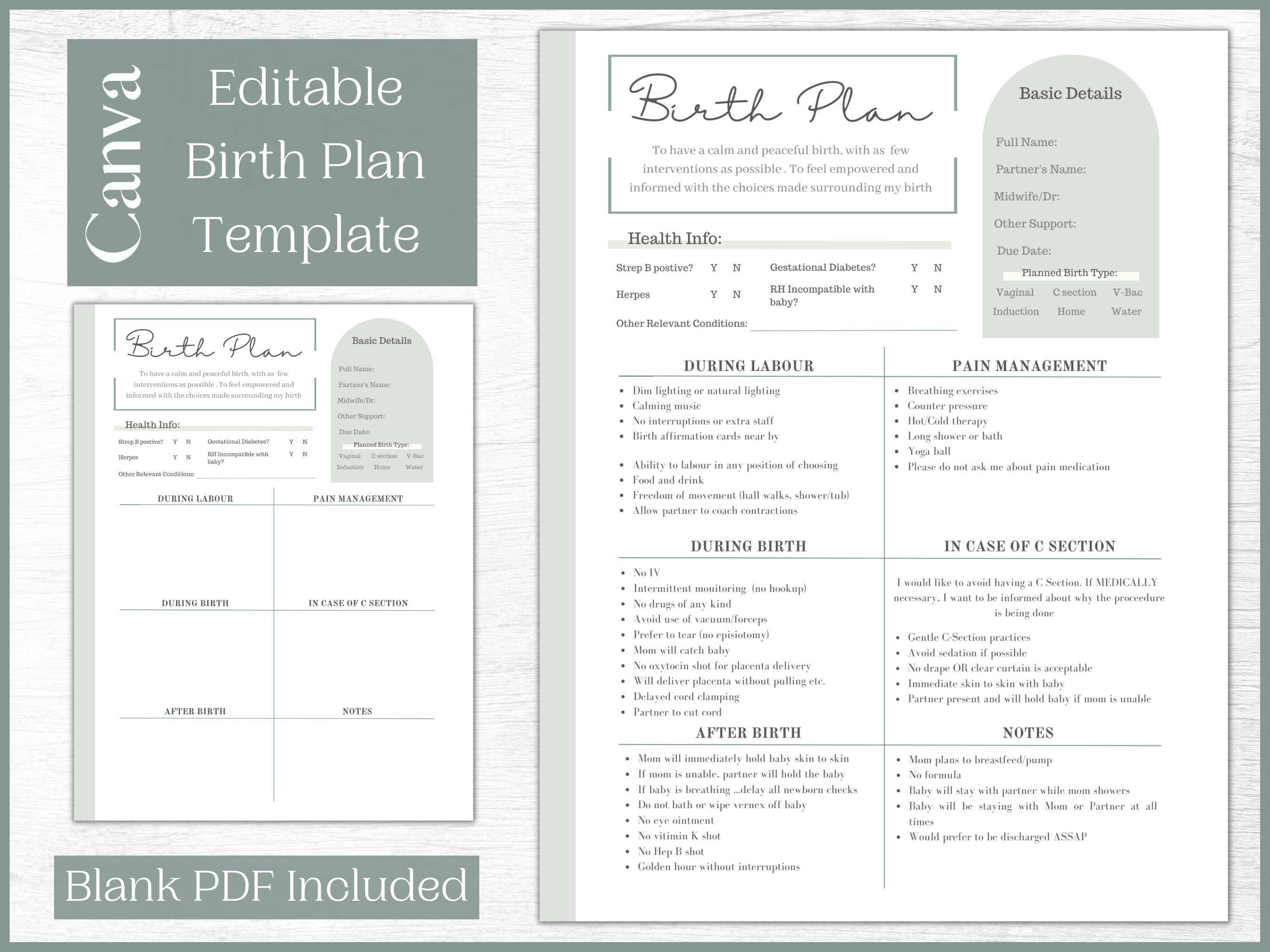 Editable Birth Plan Template | Printable Birthing Plan | Labour and ...