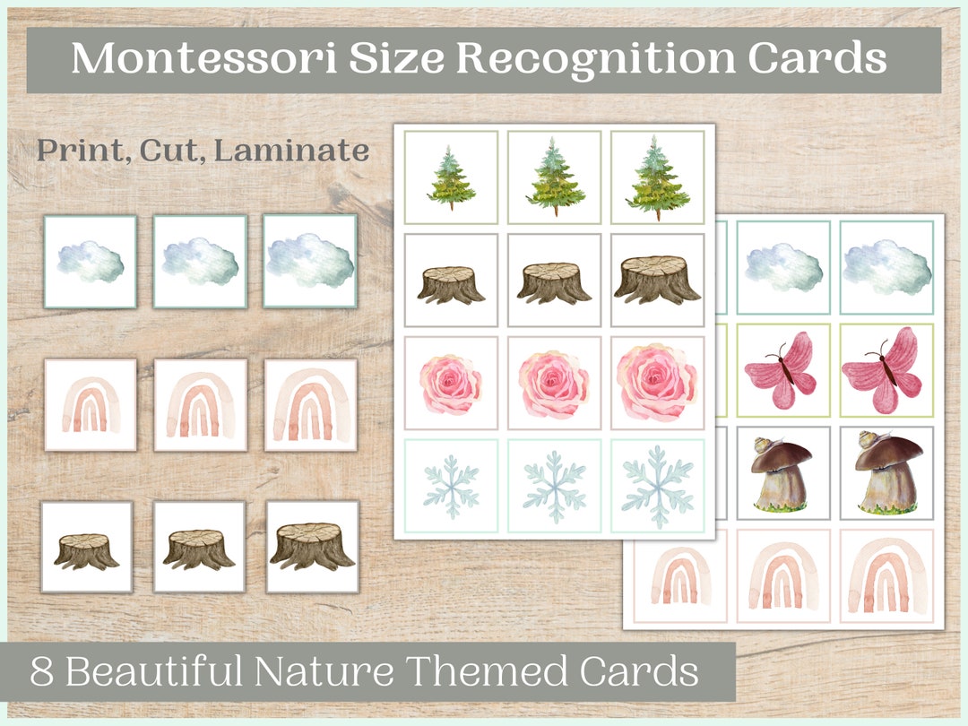 Montessori Size Recognition Cards | Nature Themed Size Sorting Cards ...