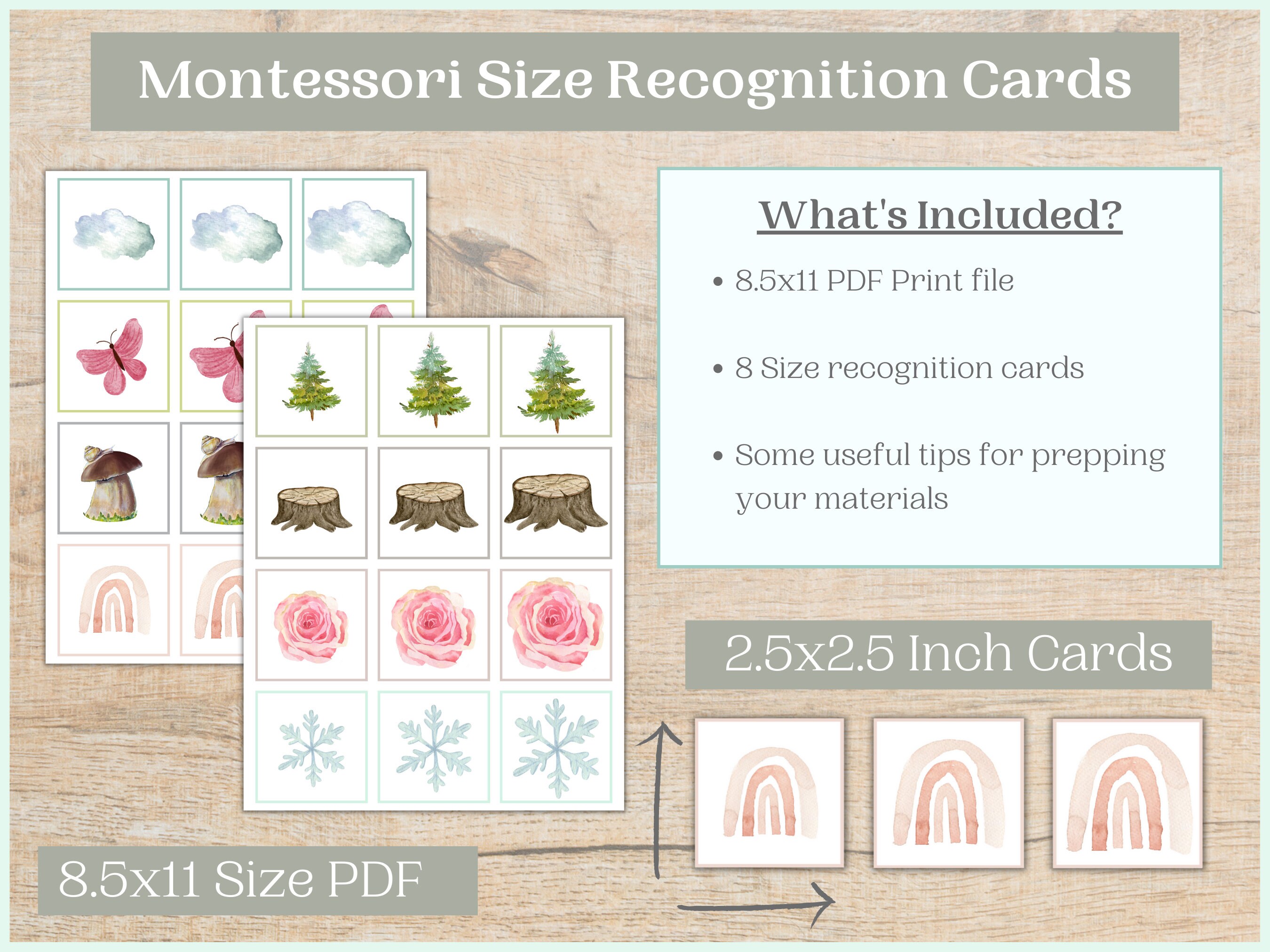 Montessori Size Recognition Cards Nature Themed Size Sorting Cards ...