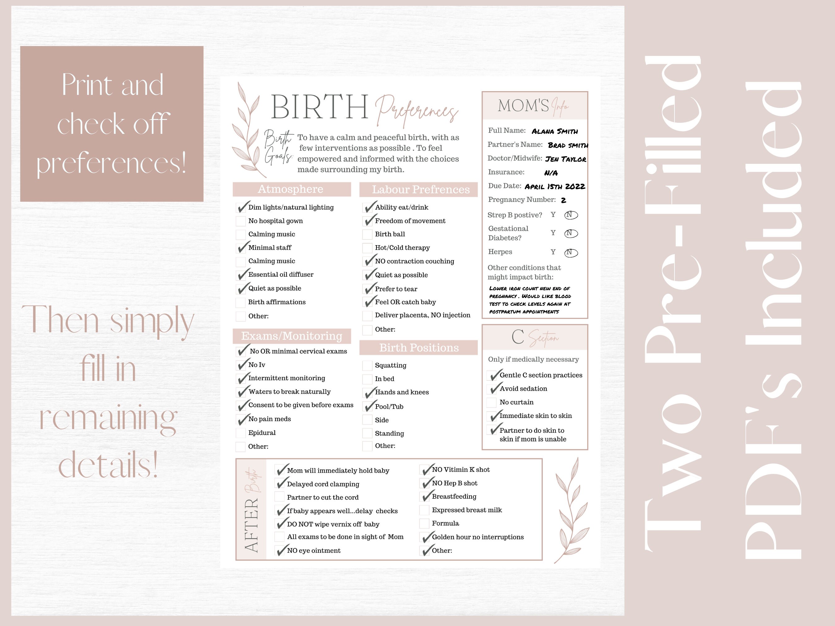 Editable Birth Plan Template |printable Birth Plan Checklist - Etsy