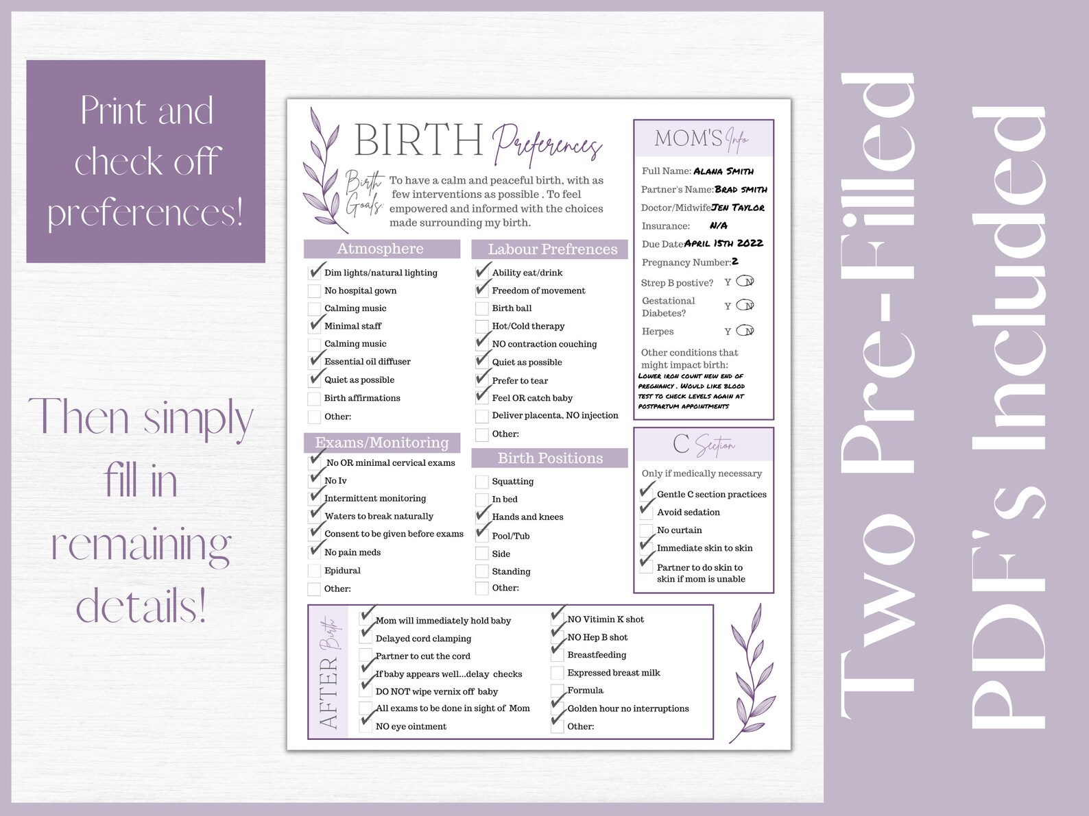 Editable Birth Plan Template |printable Birth Plan Checklist - Etsy
