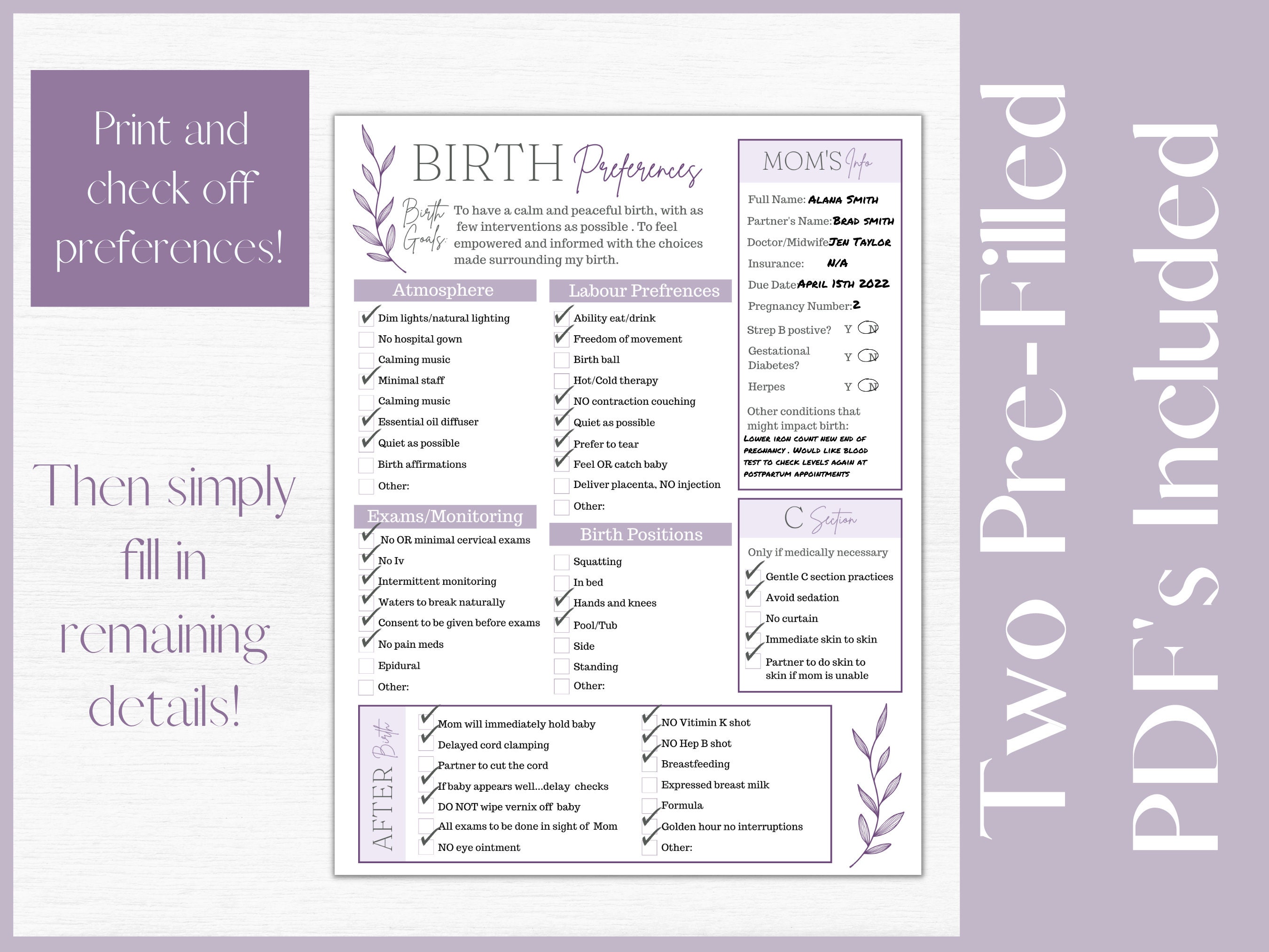 Editable Birth Plan Template |printable Birth Plan Checklist - Etsy