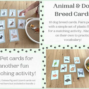 Pet Themed Unit Study Bundle | Vet Clinic Dramatic Play Printables ...