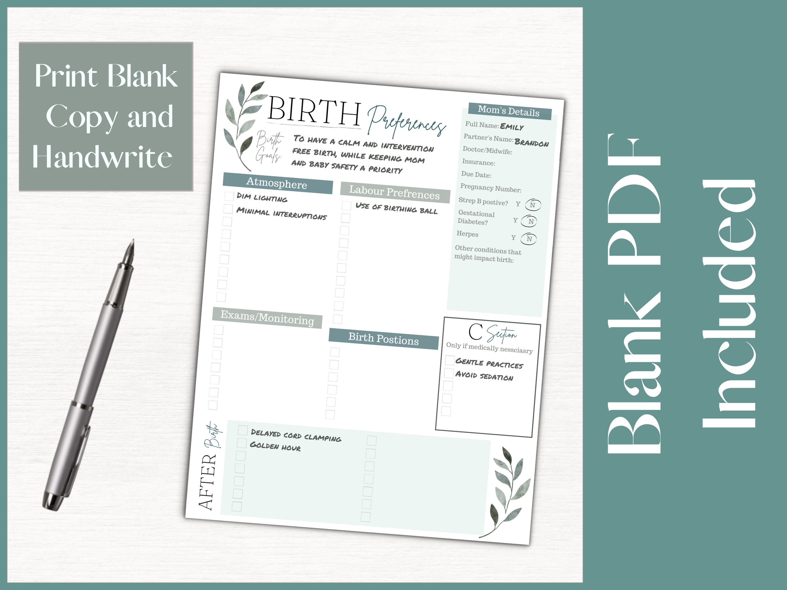 Editable Birth Plan Template |printable Birth Plan and Checklist - Etsy