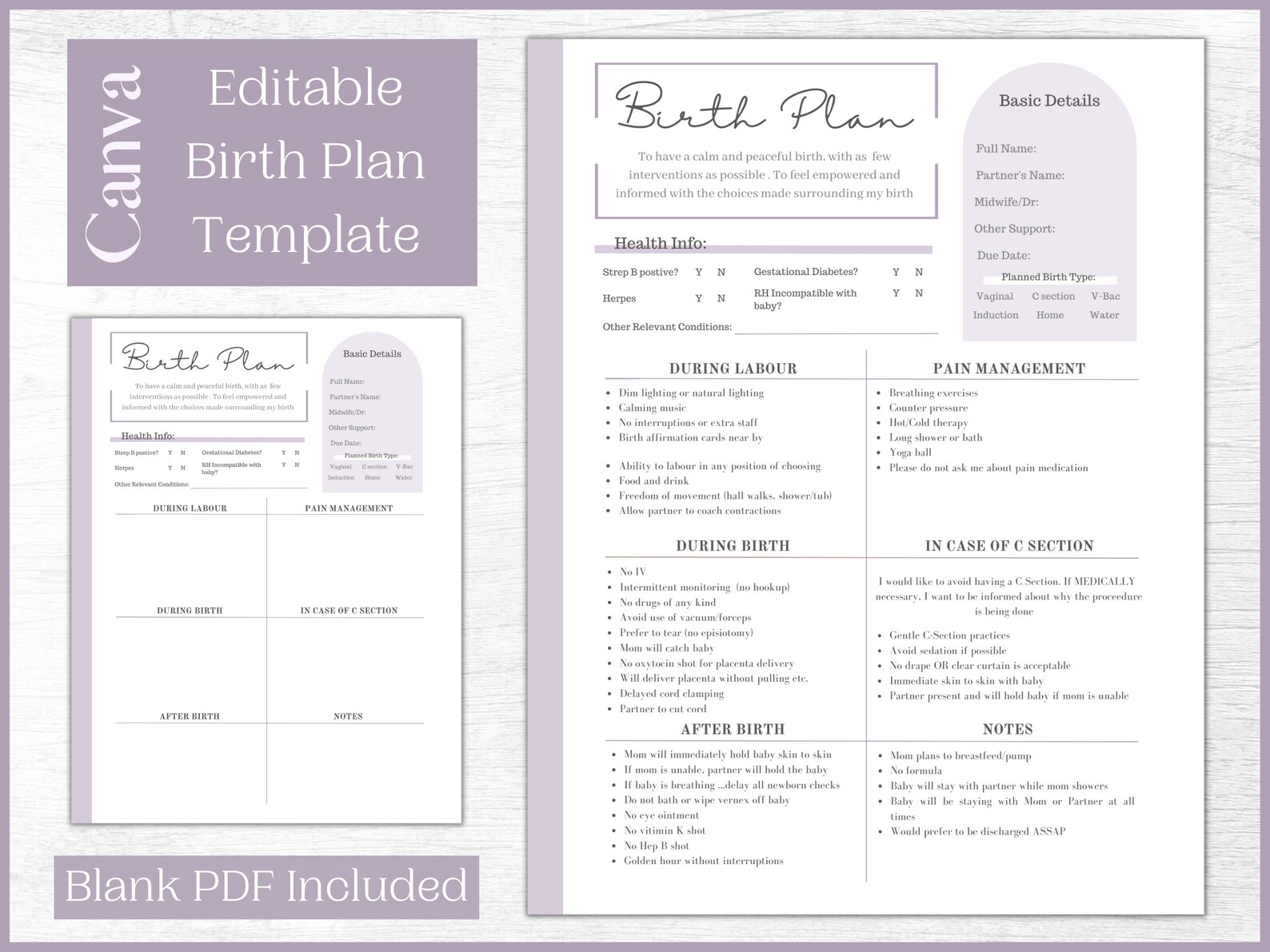 Editable Birth Plan Template | Printable Birthing Plan | Labour and ...