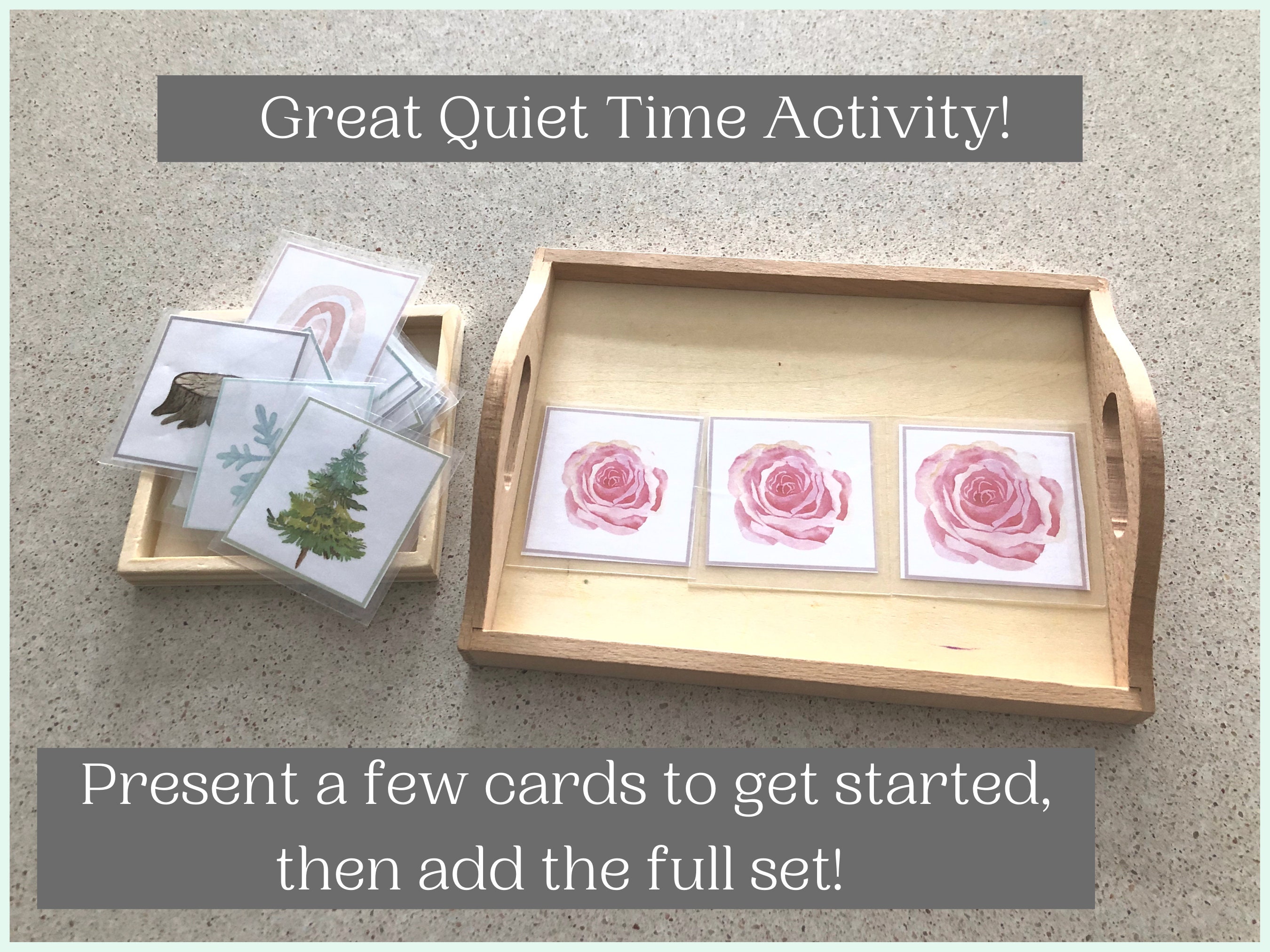 Montessori Size Recognition Cards Nature Themed Size Sorting Cards ...