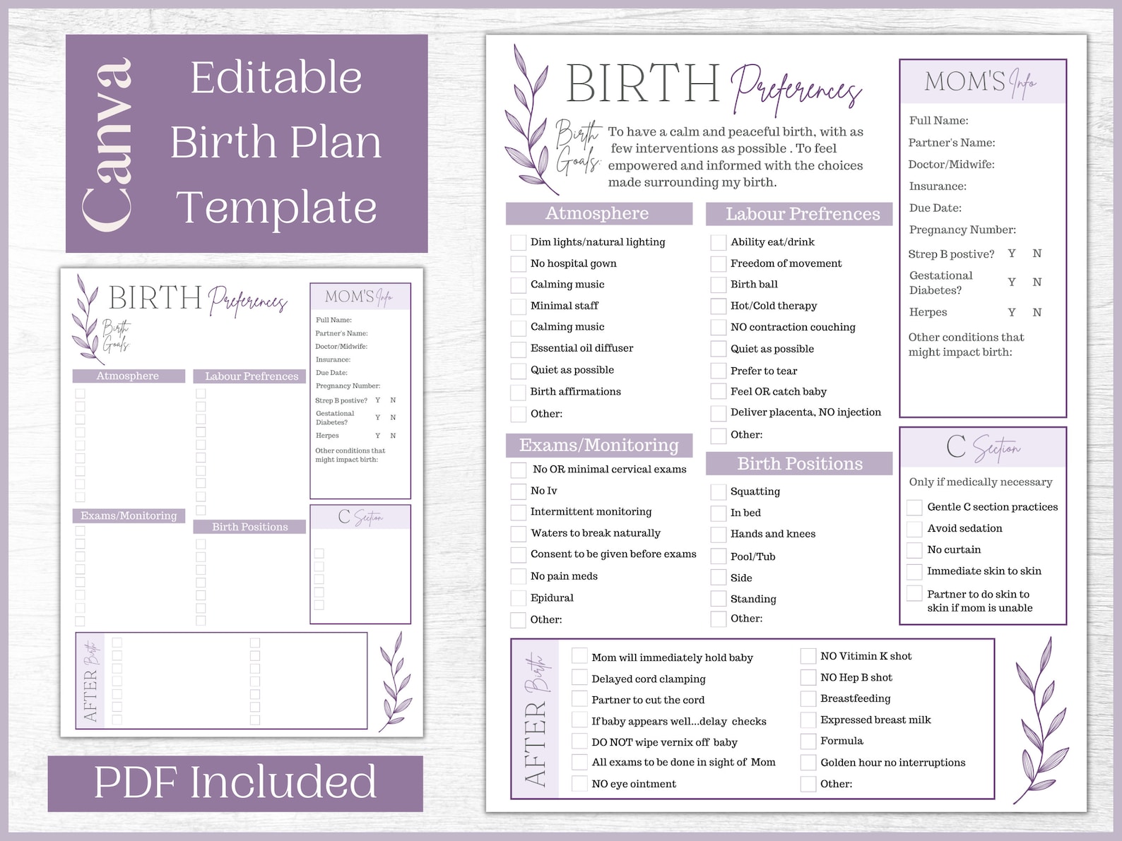 Editable Birth Plan Template |printable Birth Plan Checklist - Etsy