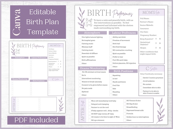 Editable Birth Plan Template printable Birth Plan Checklist - Etsy
