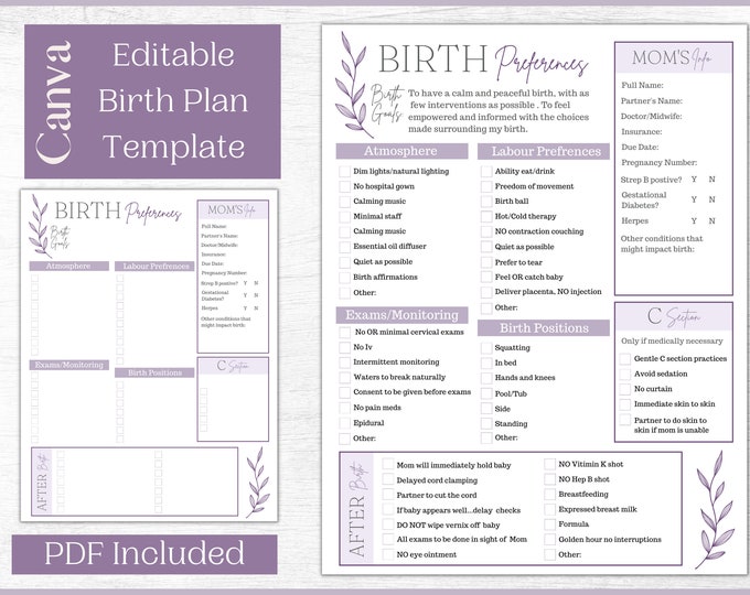 Editable Birth Plan Template printable Birth Plan Checklist - Etsy Canada