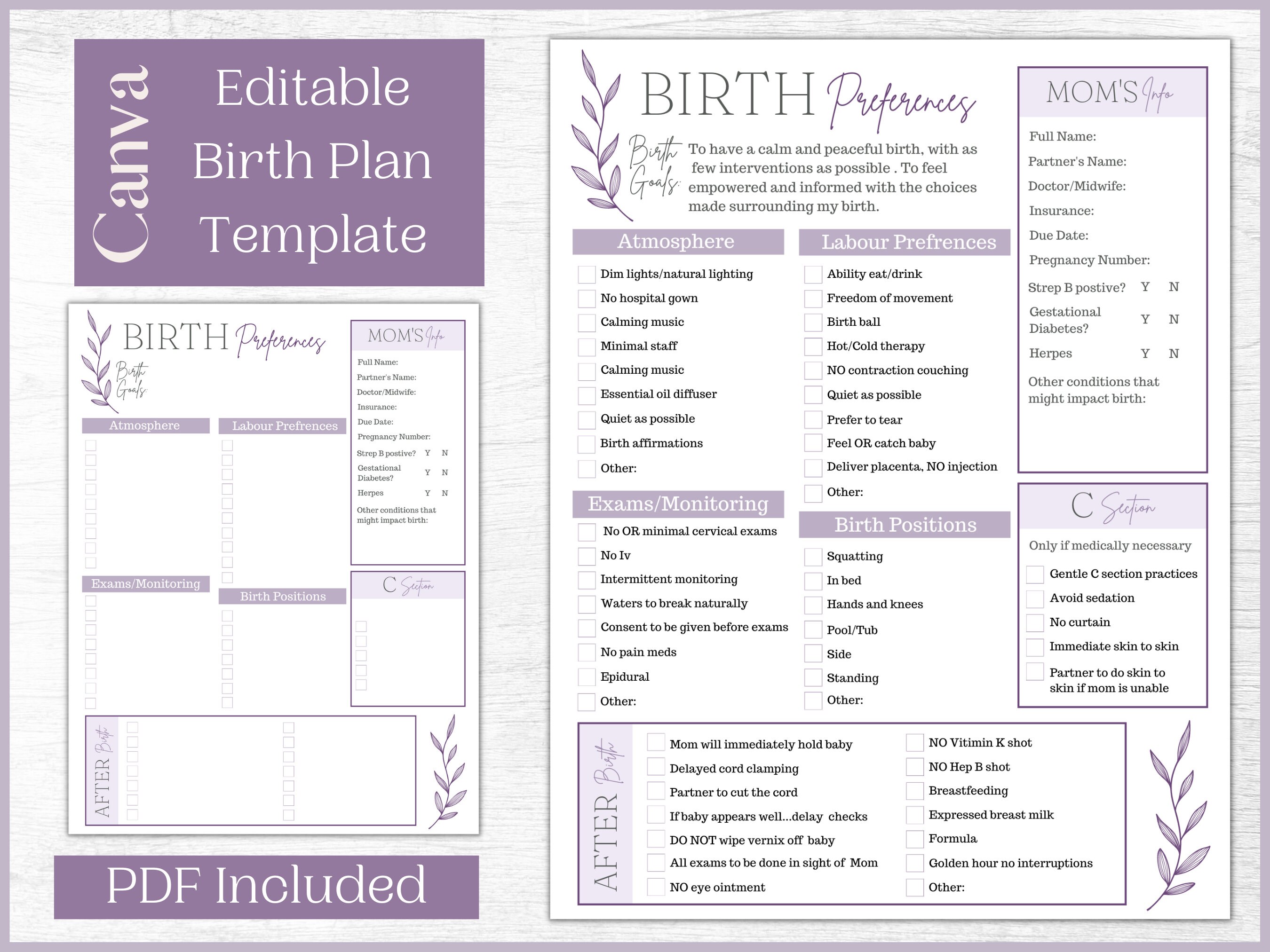 Editable Birth Plan Template |printable Birth Plan Checklist - Etsy
