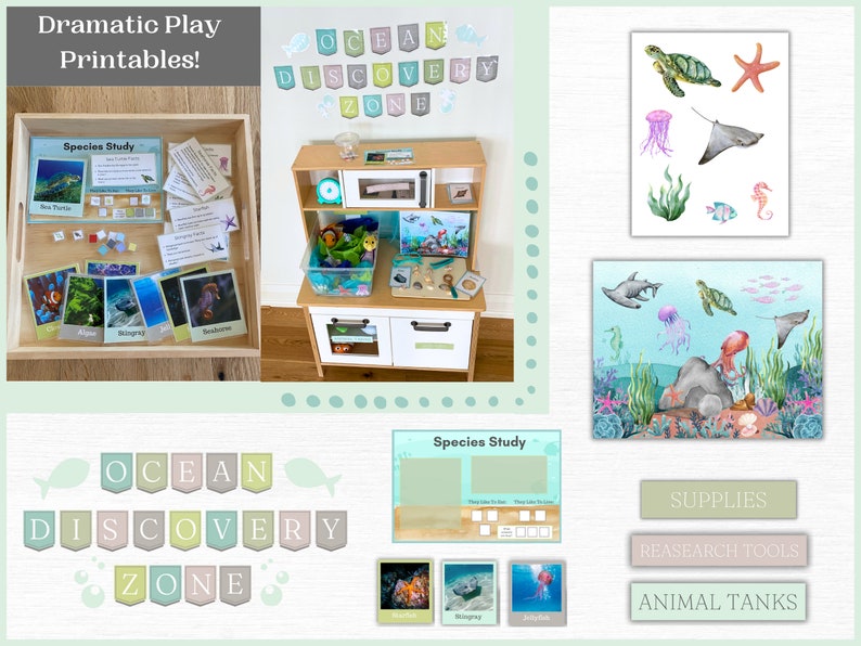 Printable Ocean Unit Study | Ocean Dramatic Play Kit | Homeschool ...
