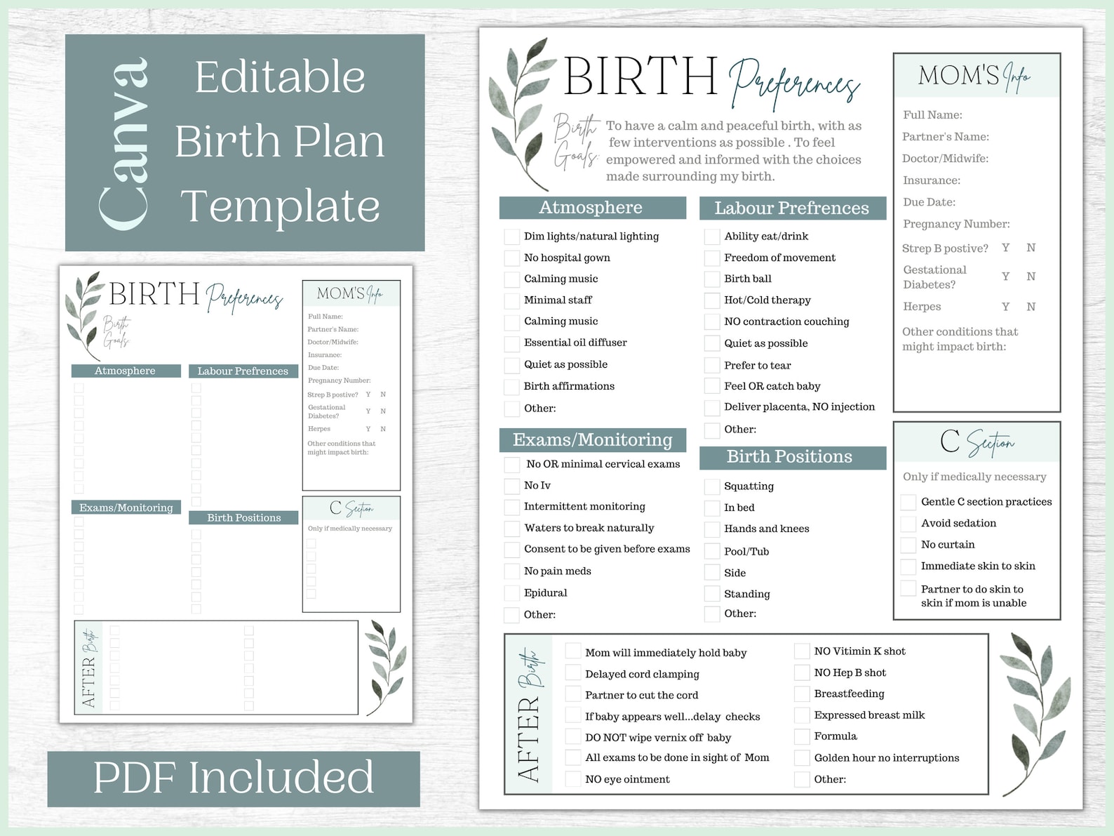 Editable Birth Plan Template |printable Birth Plan Checklist - Etsy