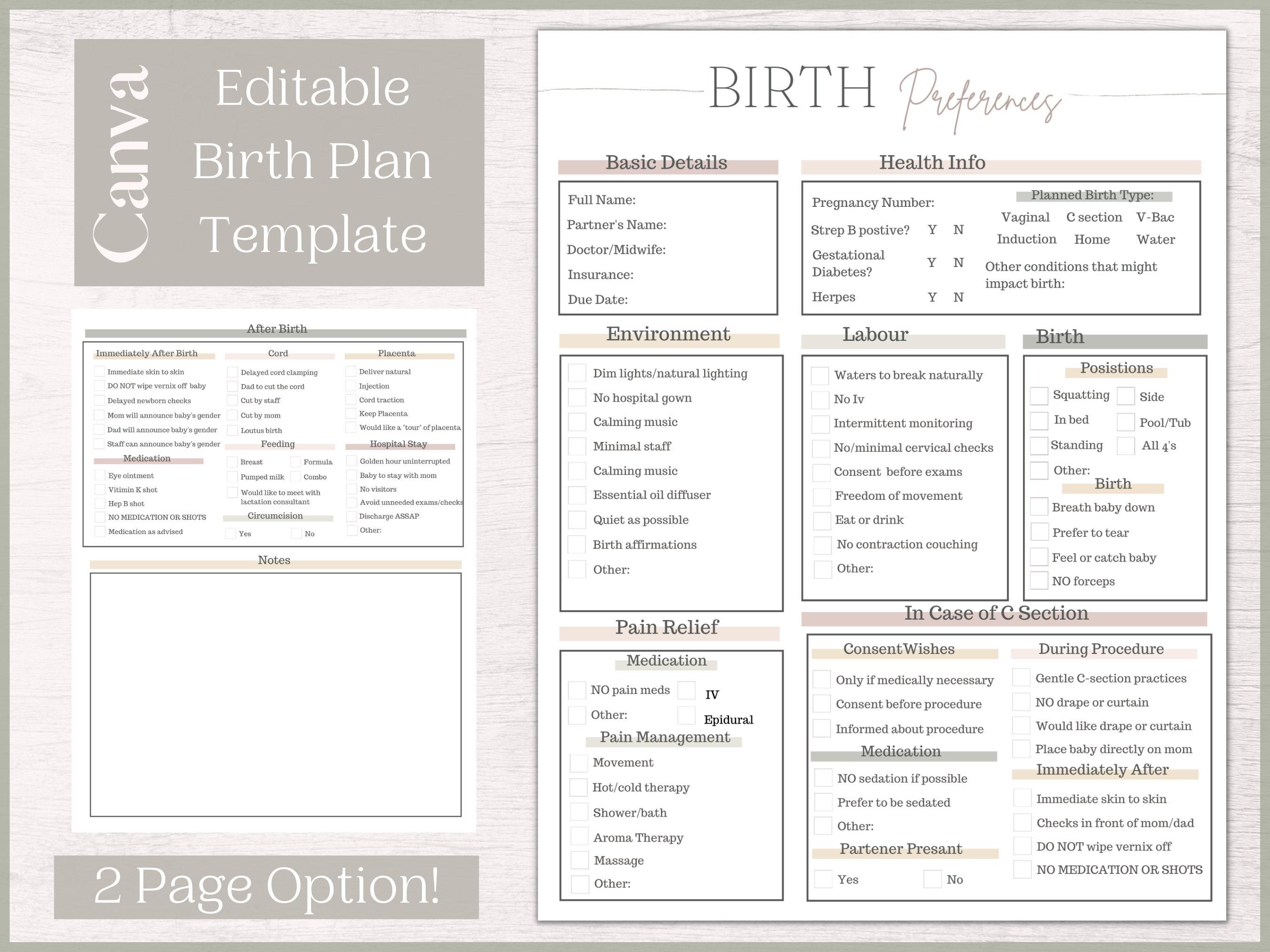 Printable and Editable Birth Plan Template | Neutral Colours Birth Plan ...