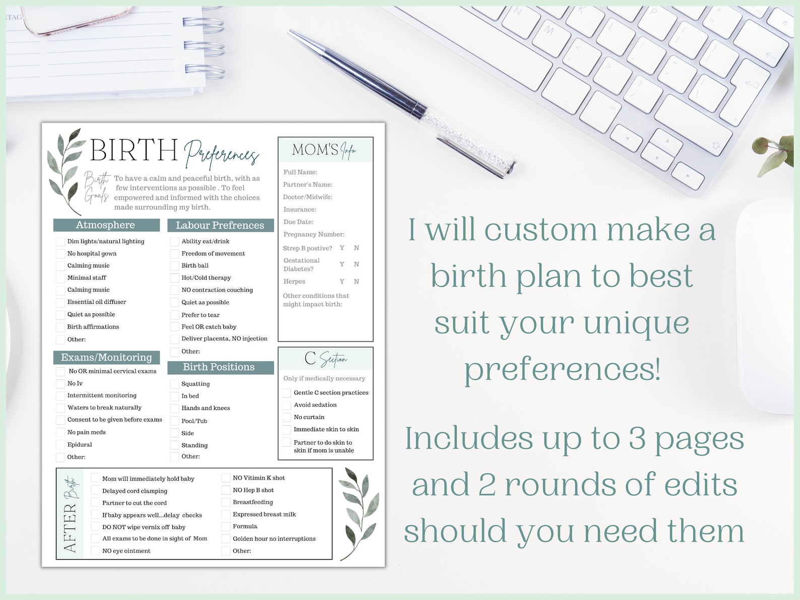 Custom Birth Plan Template - Etsy