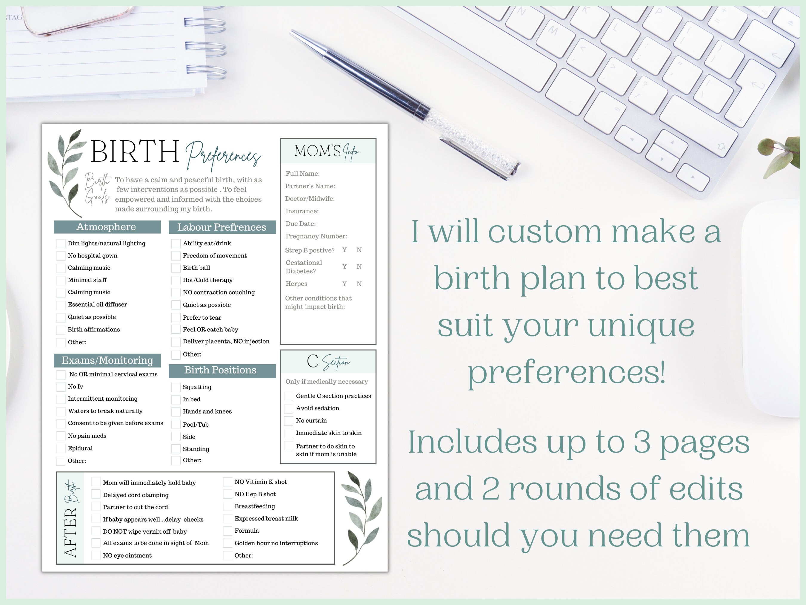 Custom Birth Plan Template - Etsy