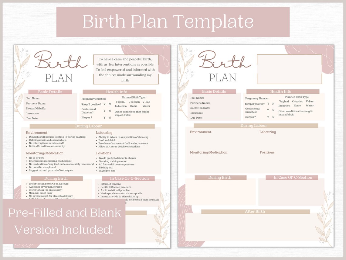 Mini Birth Plan Bundle Editable Birth Plan Hospital Bag Checklist ...