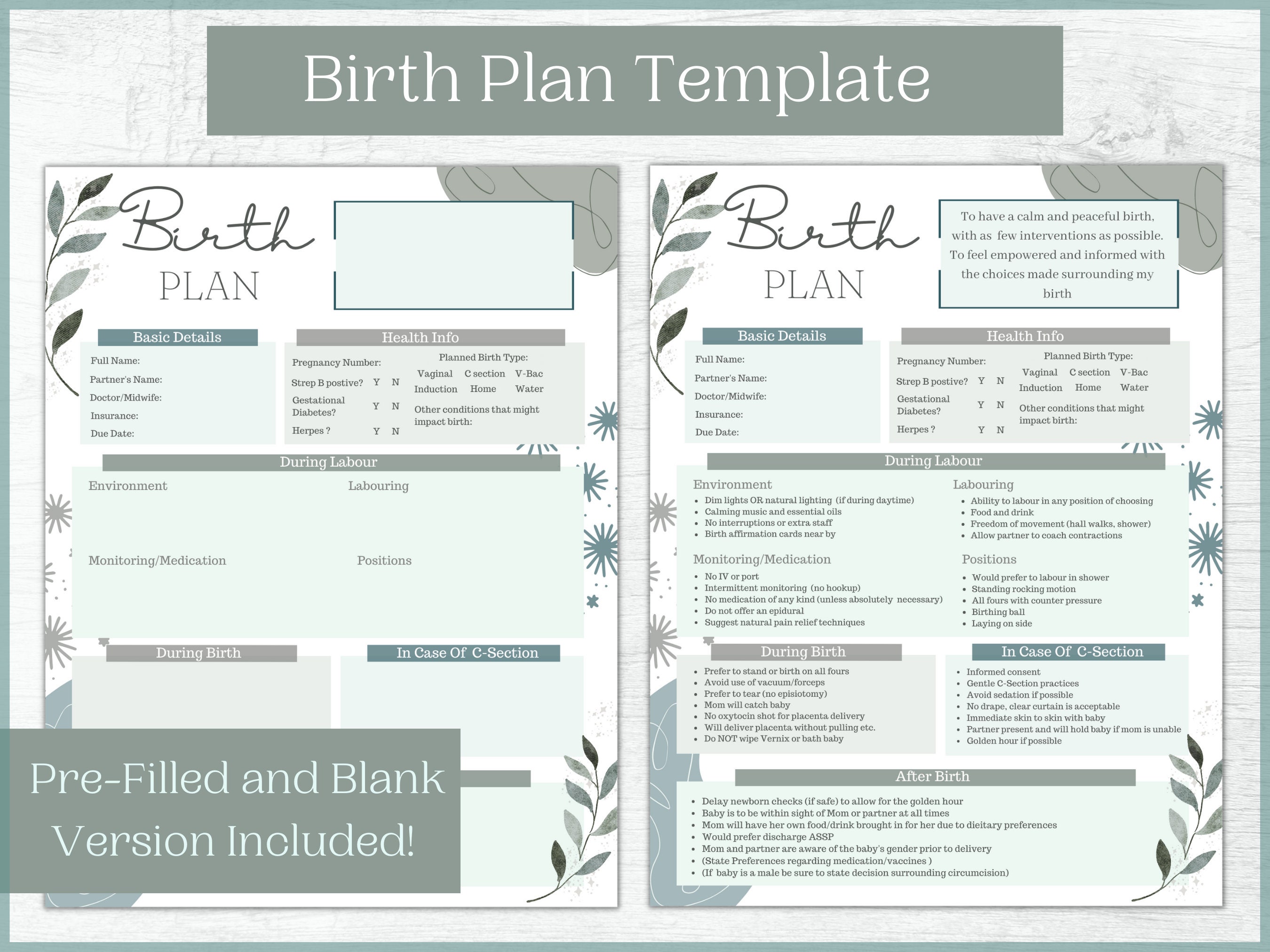 Mini Birth Plan Bundle | Editable Birth Plan| Hospital Bag Checklist ...