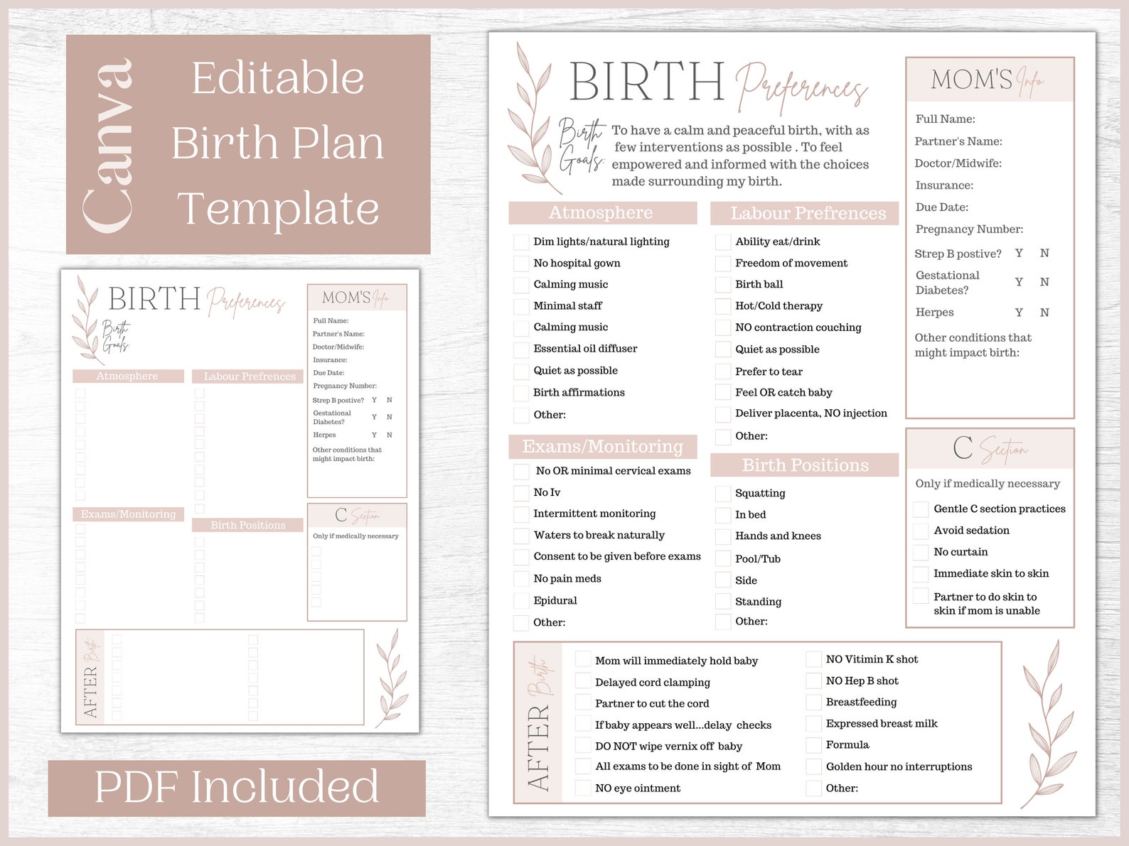 Editable Birth Plan Template |printable Birth Plan Checklist - Etsy