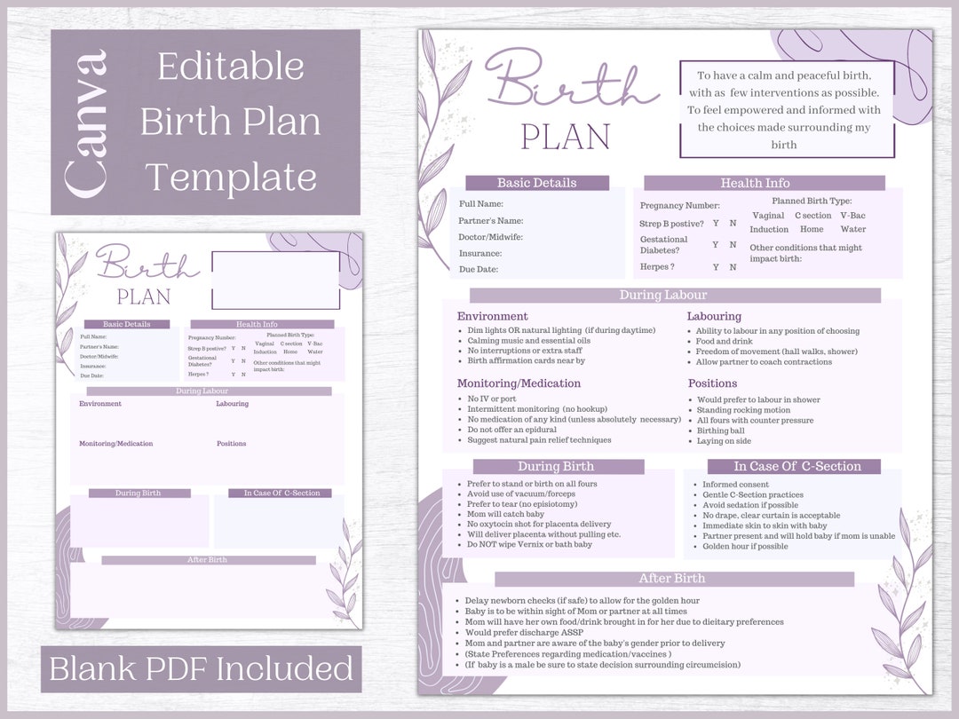 Editable Birth Plan Template | Printable Birthing Plan | Labour and ...
