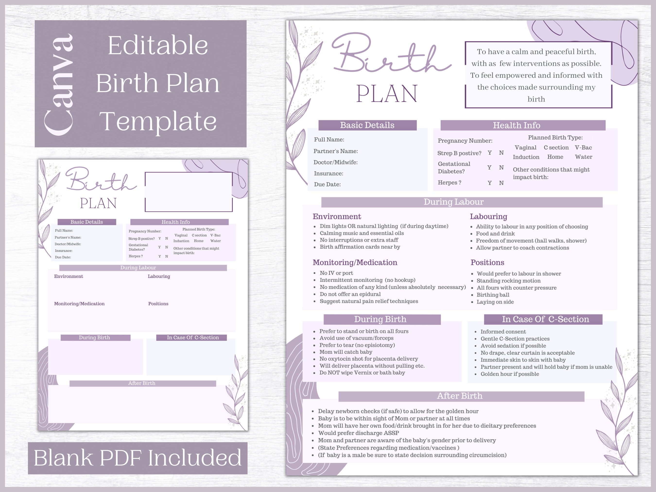 Editable Birth Plan Template | Printable Birthing Plan | Labour and ...