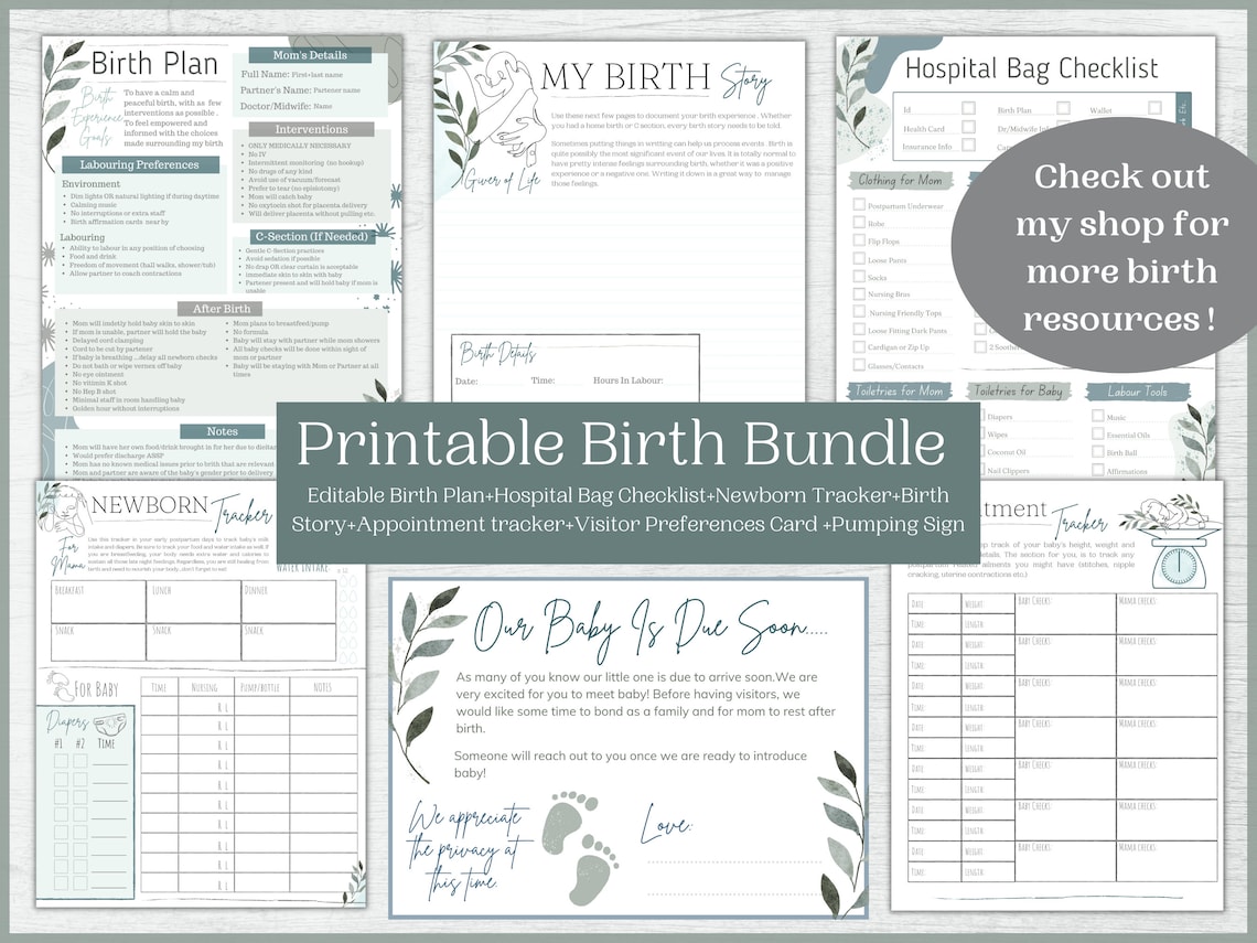 Editable Birth Plan Template printable Birth Plan and Checklist - Etsy