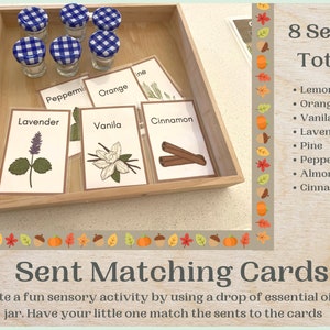 Preschool Fall Harvest Unit Study Bundle | Homeschool Preschool ...