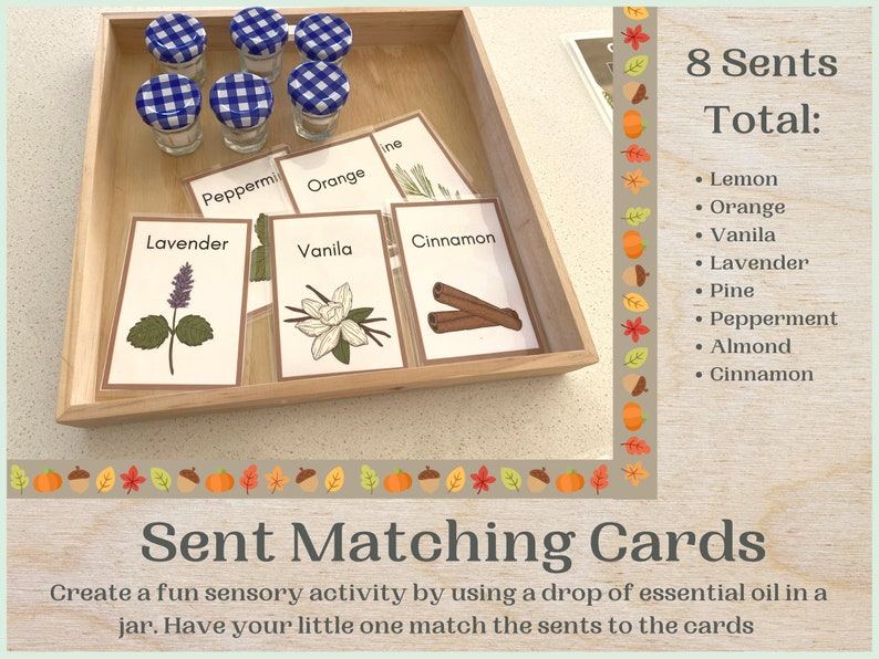 Preschool Fall Harvest Unit Study Bundle | Homeschool Preschool ...