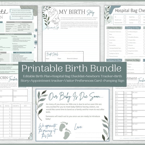 Mini Birth Plan Bundle Editable Birth Plan Hospital Bag - Etsy