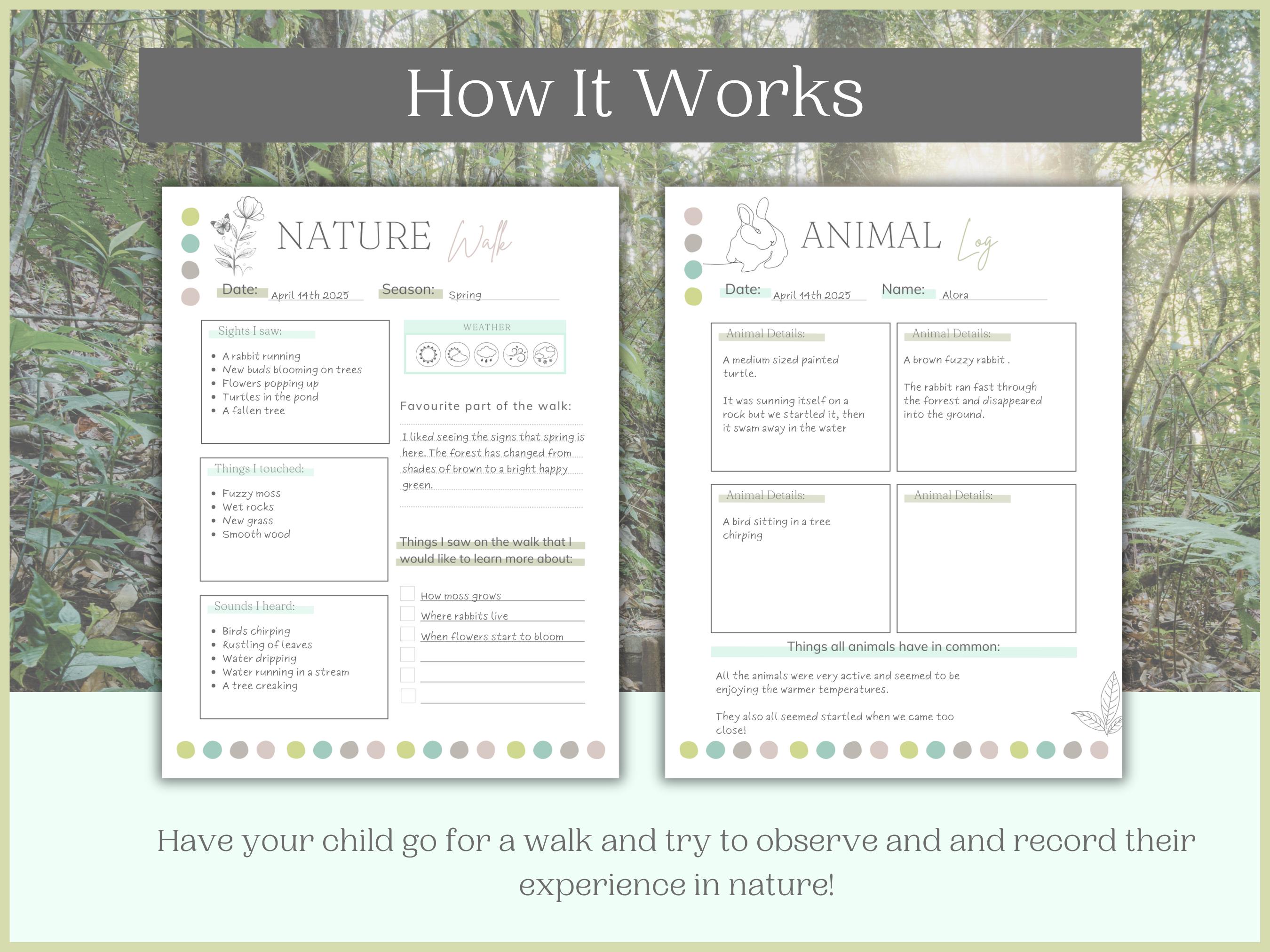 Printable Nature Journal | Homeschool Preschool Nature Learning ...