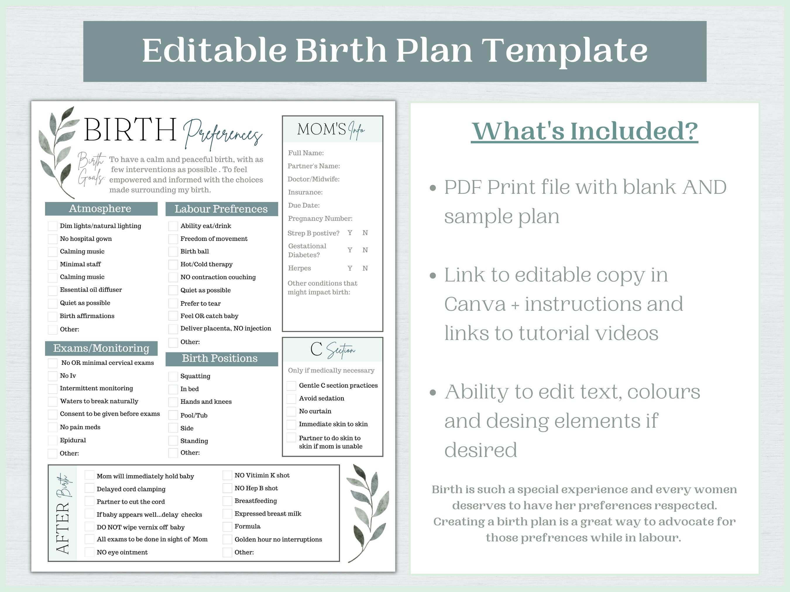 Editable Birth Plan Template |printable Birth Plan Checklist - Etsy