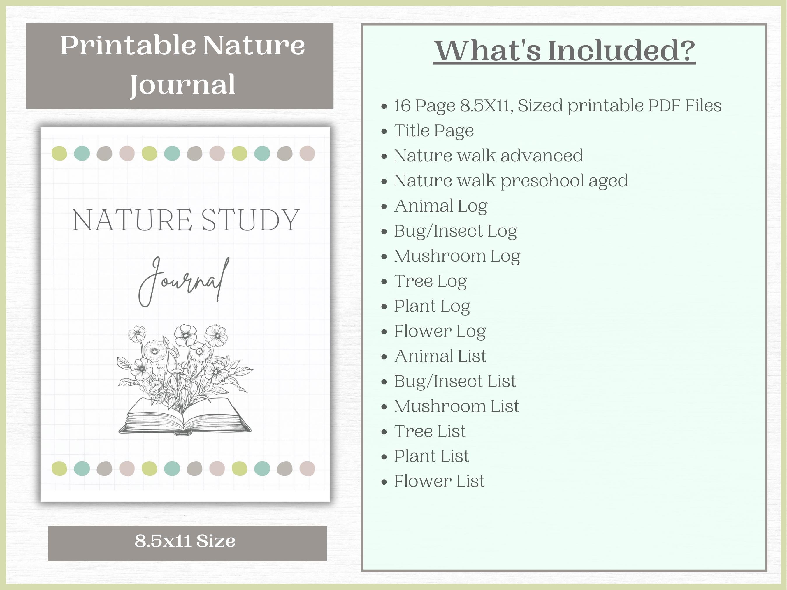Printable Nature Journal | Homeschool Preschool Nature Learning ...
