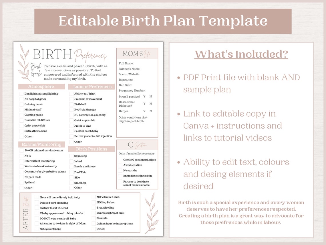 Editable Birth Plan Template printable Birth Plan Checklist - Etsy