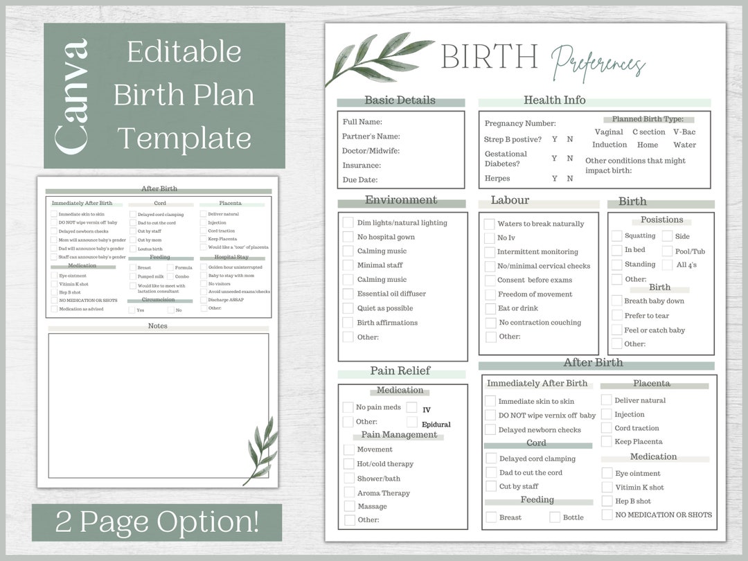 Printable and Editable Birth Plan Template | Neutral Colours Birth Plan ...
