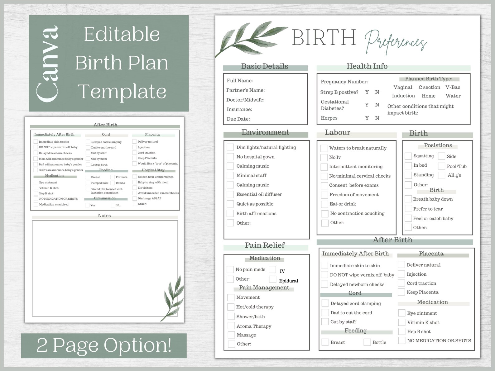 Printable and Editable Birth Plan Template | Neutral Colours Birth Plan ...