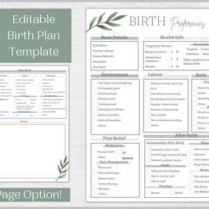 Printable and Editable Birth Plan Template | Neutral Colours Birth Plan ...