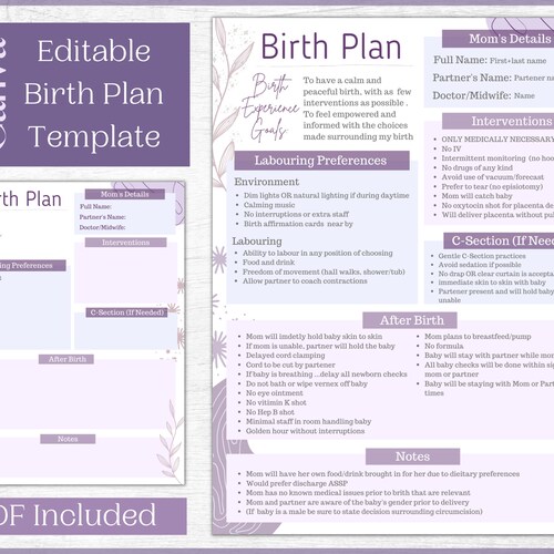 Editable Birth Plan Template Printable Birthing Plan - Etsy