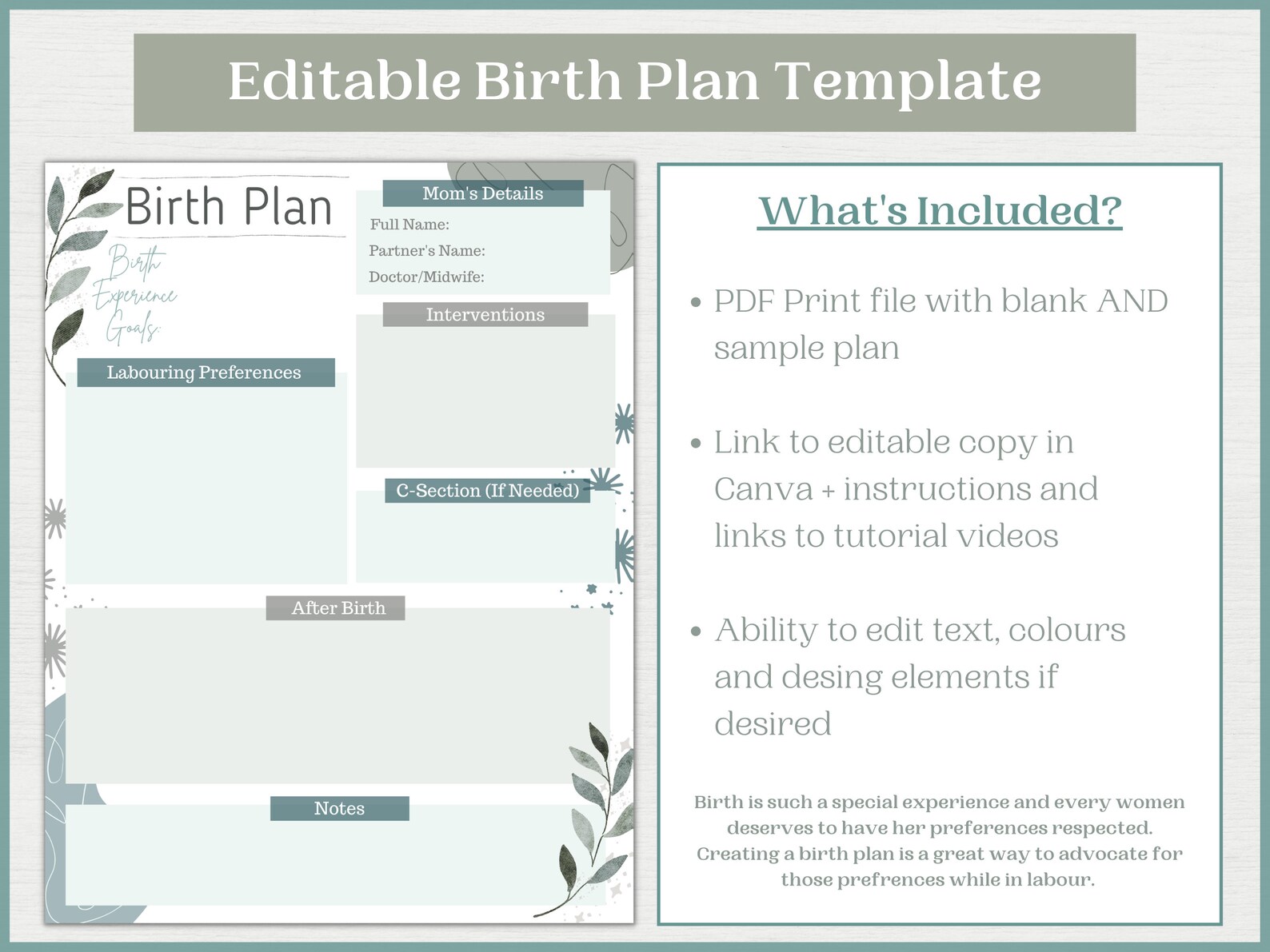 Editable Birth Plan Template Printable Birthing Plan - Etsy UK