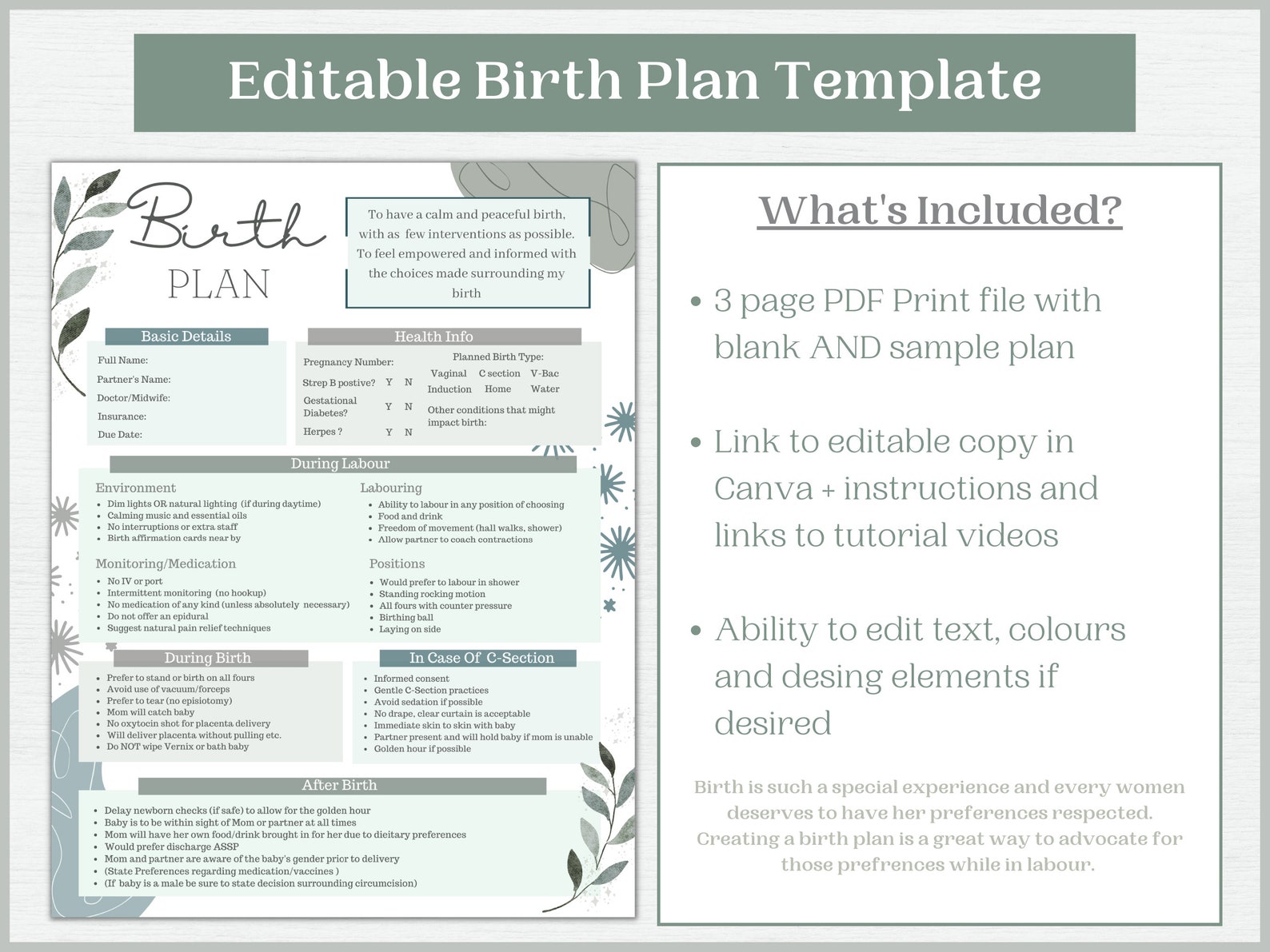 Editable Birth Plan Template | Printable Birthing Plan | Labour and ...