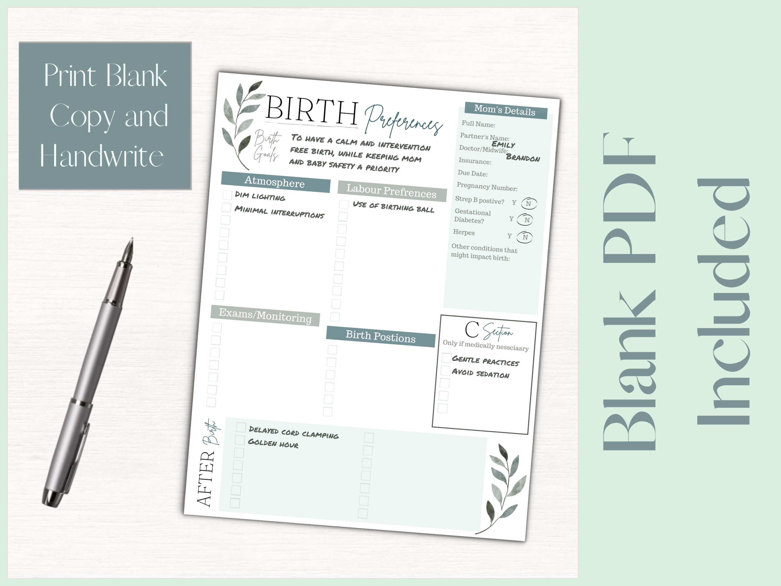 Editable Birth Plan Template |printable Birth Plan Checklist - Etsy