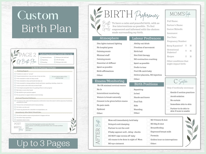 Custom Birth Plan Template - Etsy