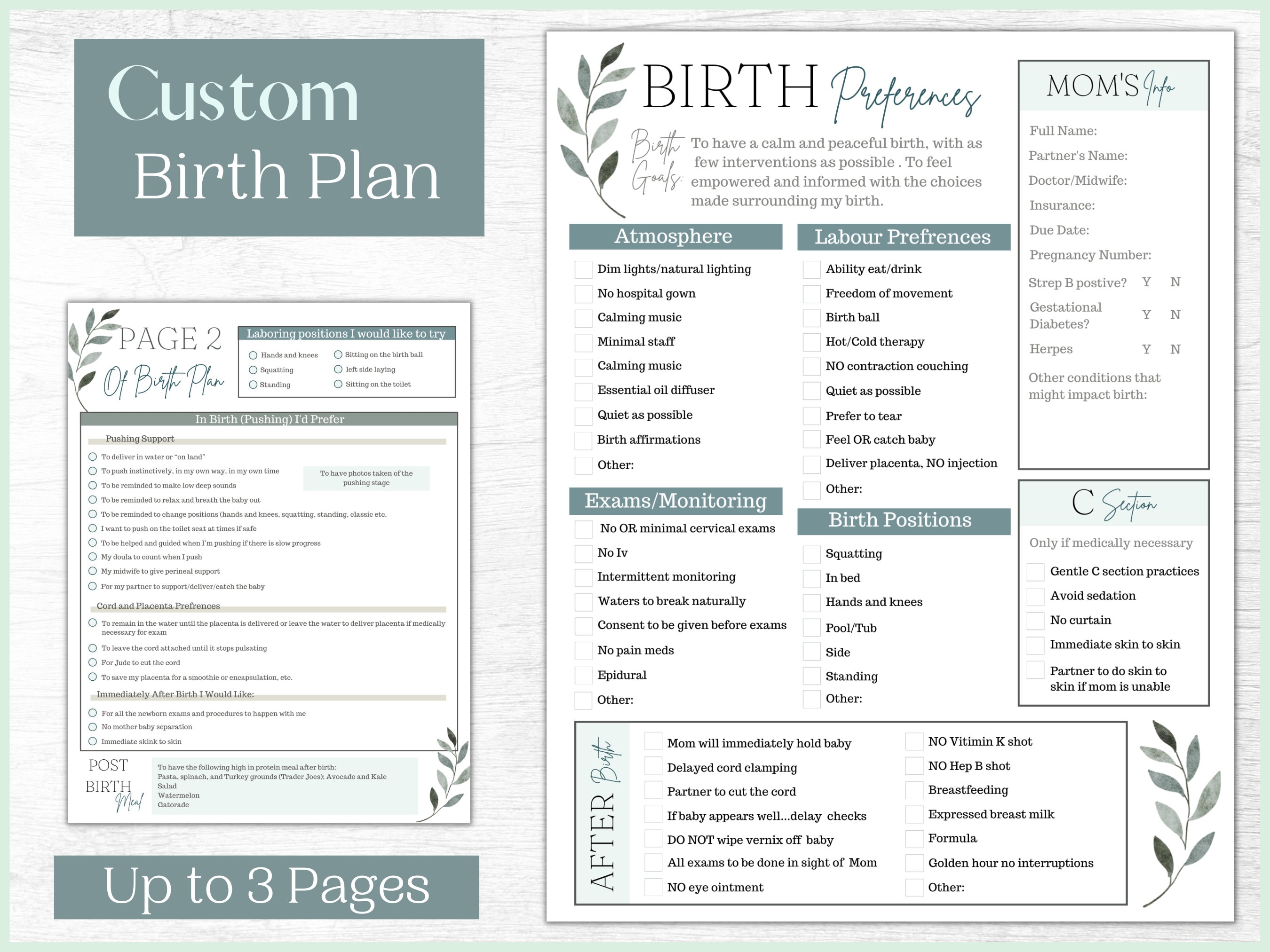 Custom Birth Plan Template - Etsy
