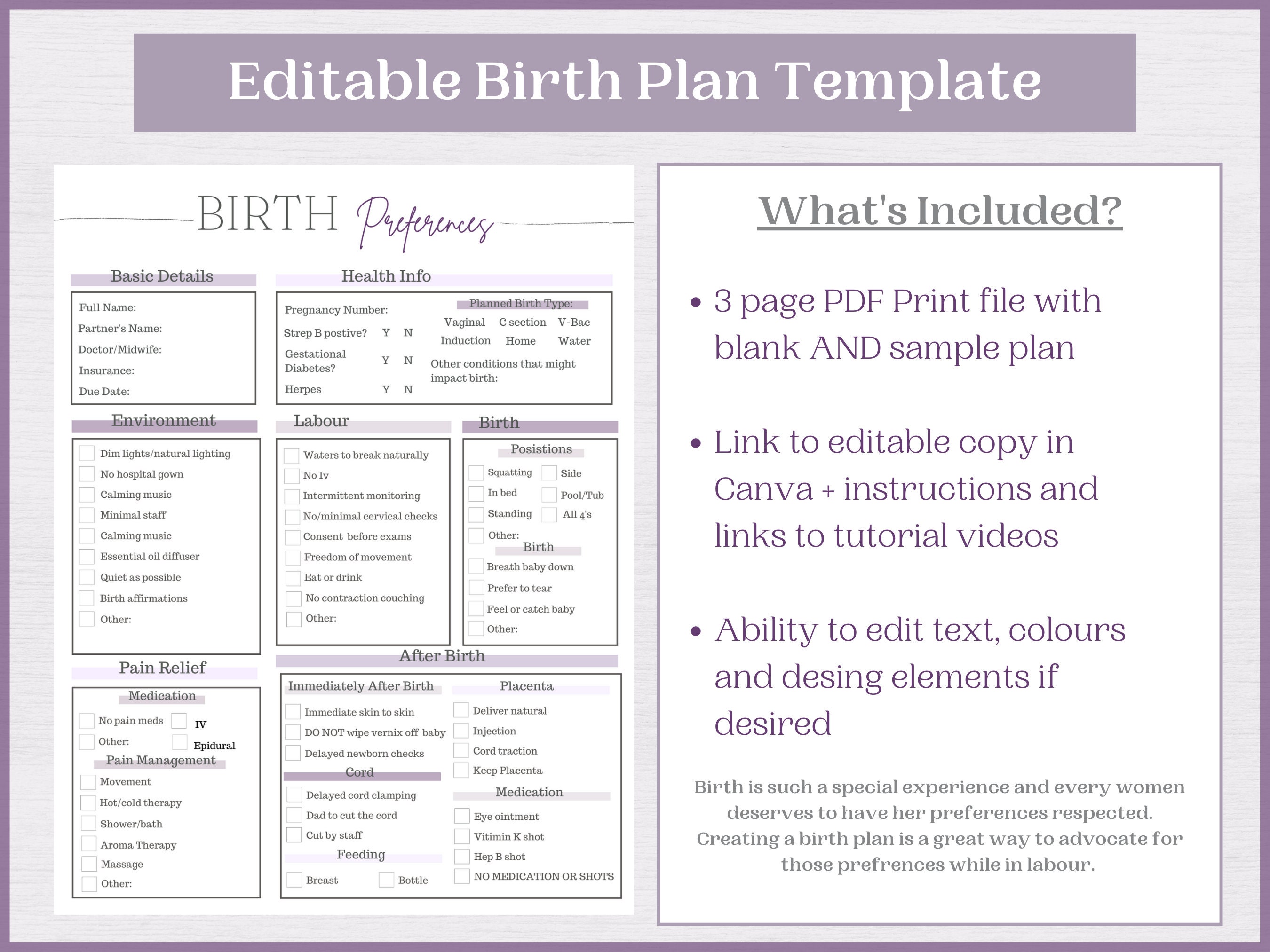 Editable Birth Plan Template |printable Birth Plan and Checklist - Etsy