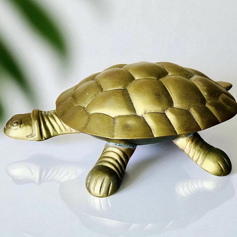 Turtle Trinket Box - Etsy