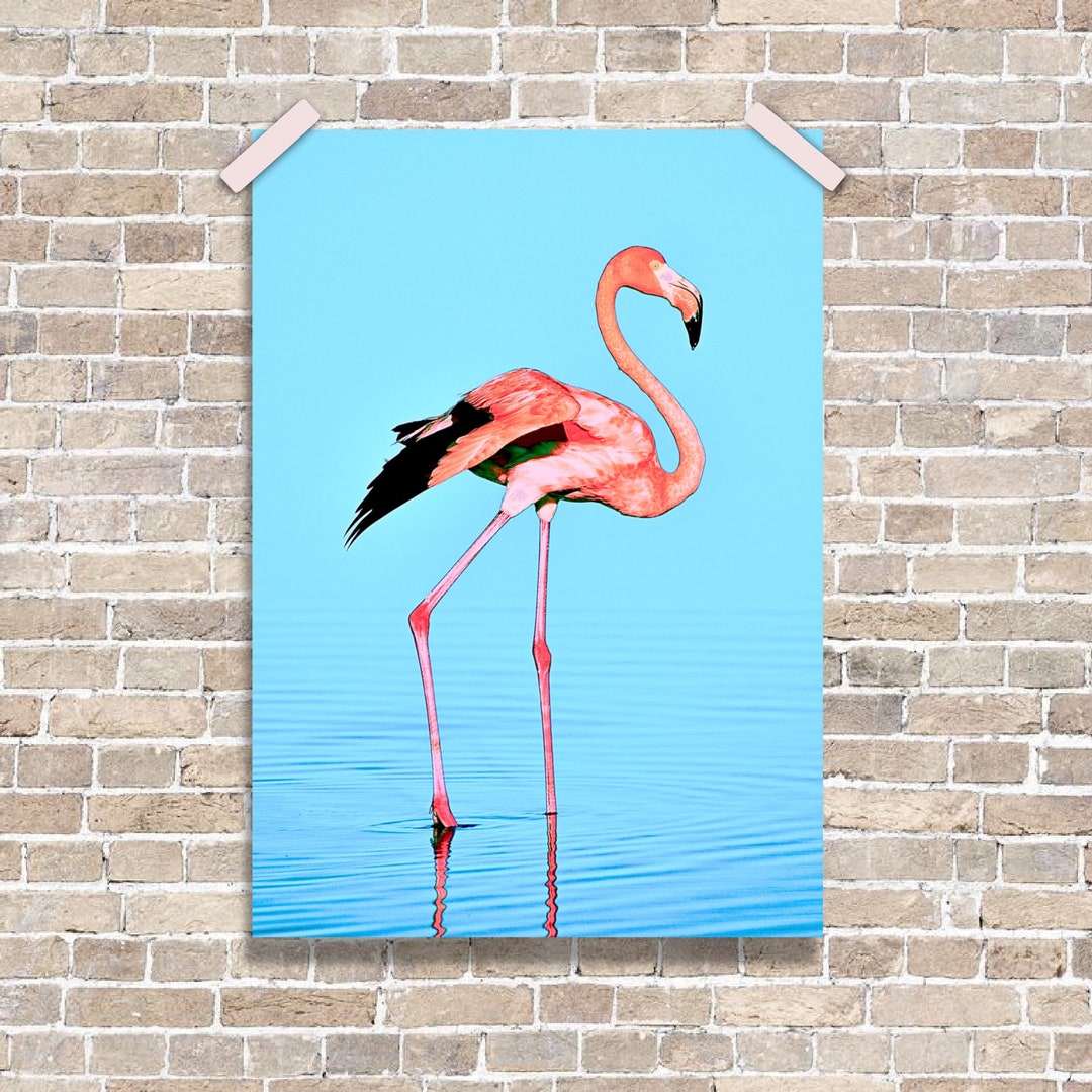 Flamingos Flamingo Print Animal Print Flamingo Poster - Etsy