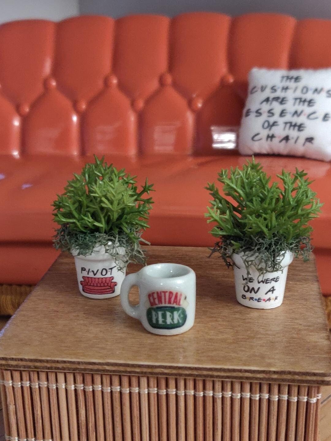 Miniature "friends" TV Show Fern Plants / Coffee Mug /pivot / Central ...